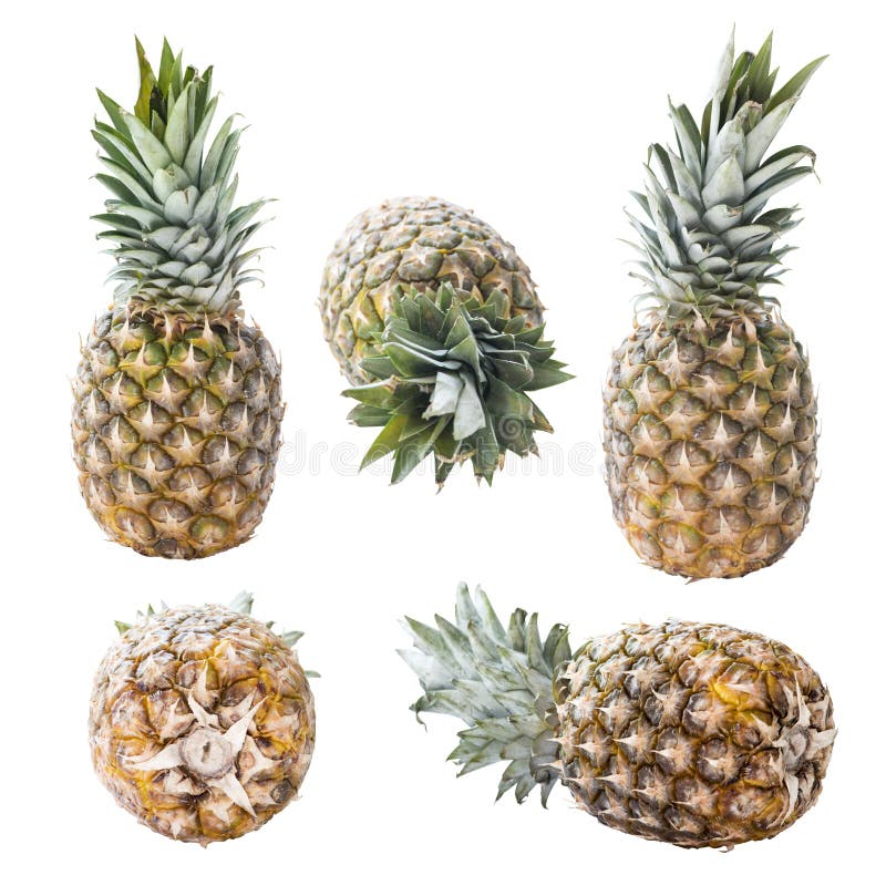 Pineapple stock image. Image of nutrient, pineapples - 59291157