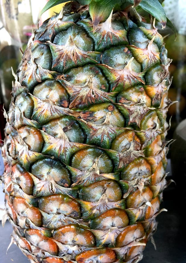 Pineapple Shell Texture stock image. Image of diet, health - 101253615