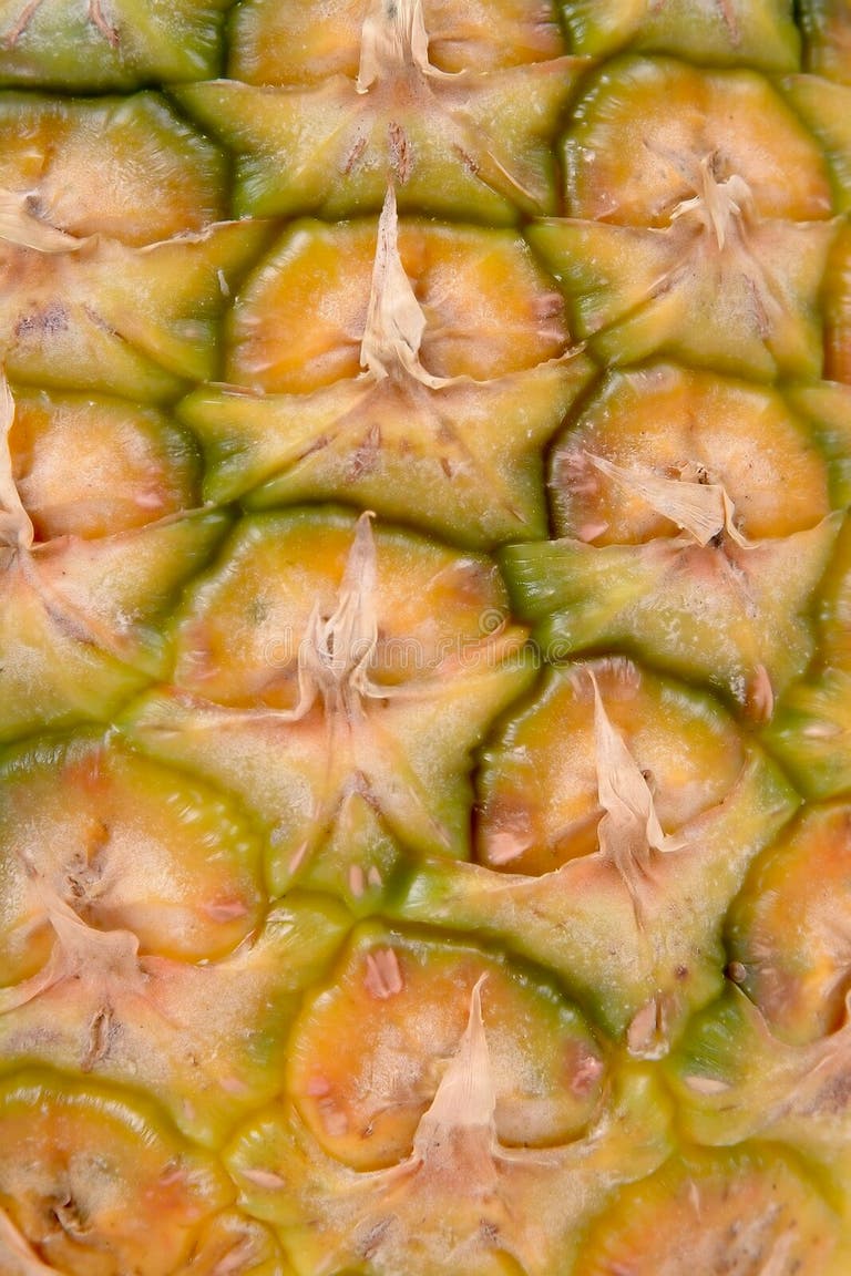 6,024 Pineapple Skin Stock Photos - Free & Royalty-Free Stock Photos ...