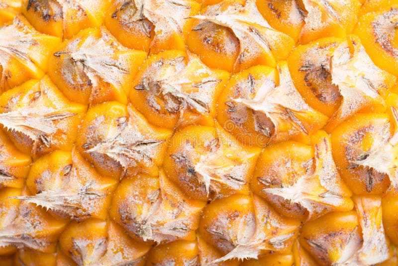 Pineapple skin stock image. Image of ripe, sweet, fresh - 43744093