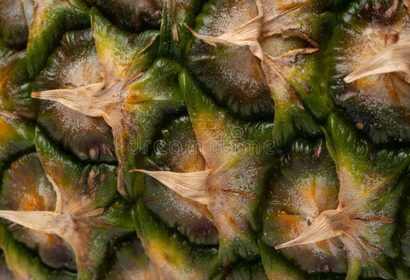 Pineapple Skin Texture Background, Ananas Pattern, Comosus Tropical Fruit Banner, Ripe Pine ...