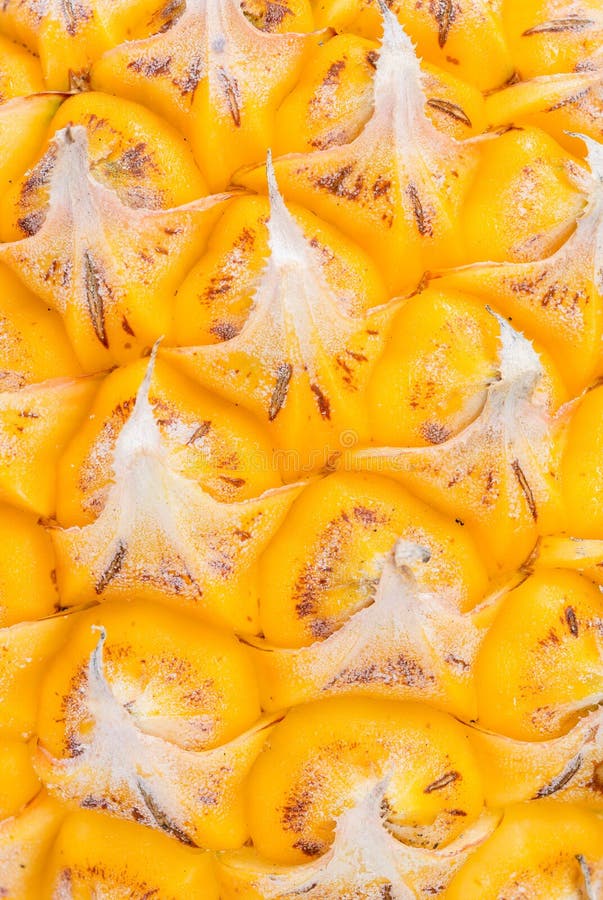 Pineapple Skin stock photo. Image of green, fruit, indoors - 37749654