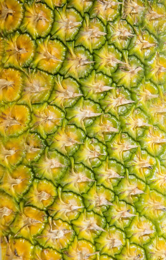1,179 Pineapple Skin Texture Stock Photos - Free & Royalty-Free Stock ...