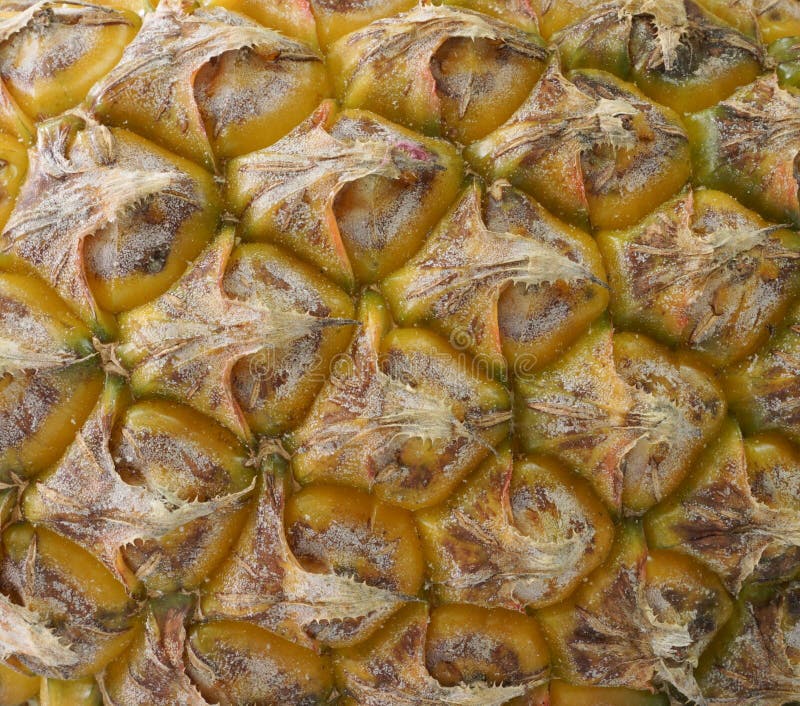 Pineapple skin texture stock photo. Image of abstract - 76542502