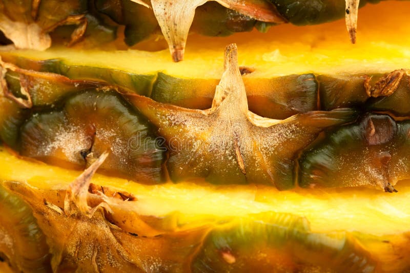 Pineapple slice macro stock image. Image of fresh, dessert - 39144601