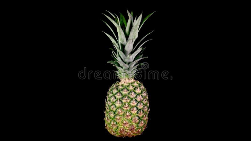 Pineapple Spinning Black Background Stock Footage - Video of moving ...