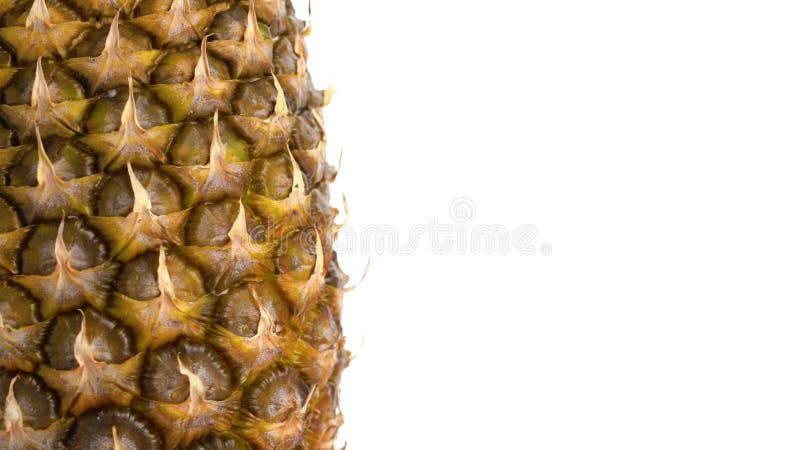 Pineapple Spinning and Rotating Isolated on White Background. Close-up ...