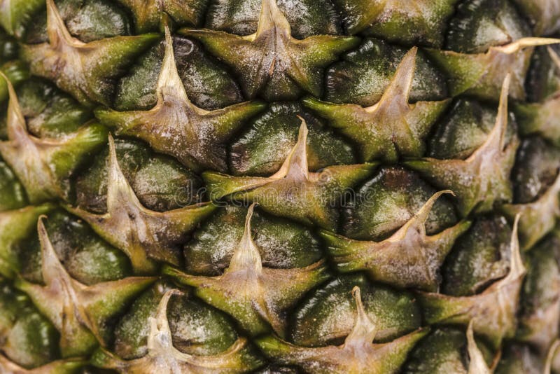 Pineapple surface texture stock photo. Image of color - 107987528