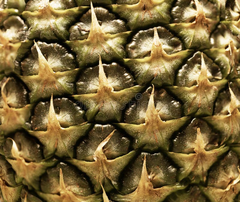Pineapple Surface Texture Pattern in Yellow and Green Stock Image ...