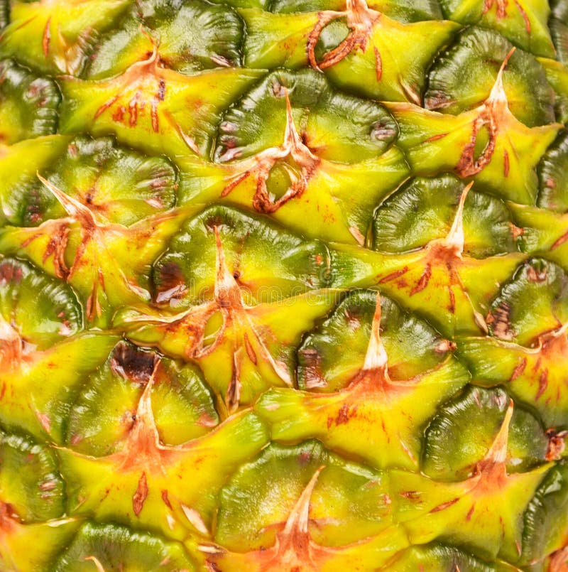 Pineapple texture stock image. Image of tropical, succulent - 959905
