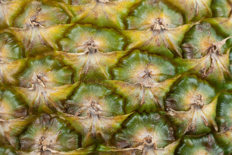 Pineapple texture stock image. Image of cells, pattern - 17473929