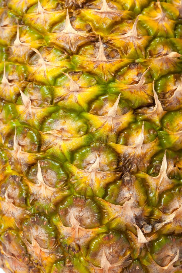 Pineapple texture stock photo. Image of nutrition, pattern - 20055858