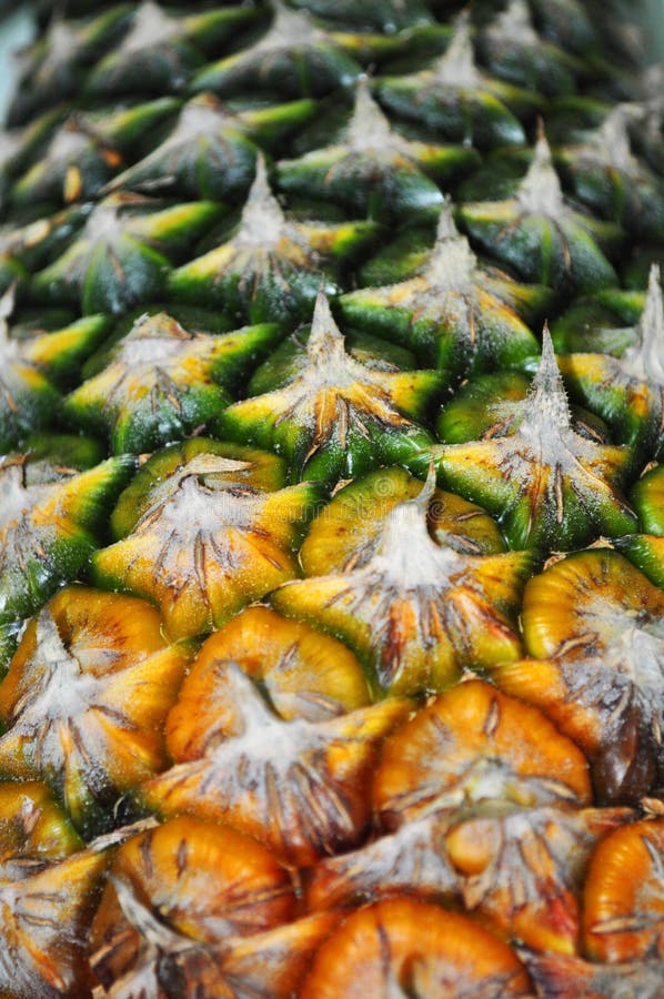 Pineapple texture stock photo. Image of orange, delicious - 21709798