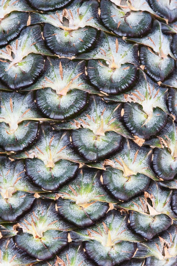 Pineapple texture stock photo. Image of nutrient, tropical - 47073192