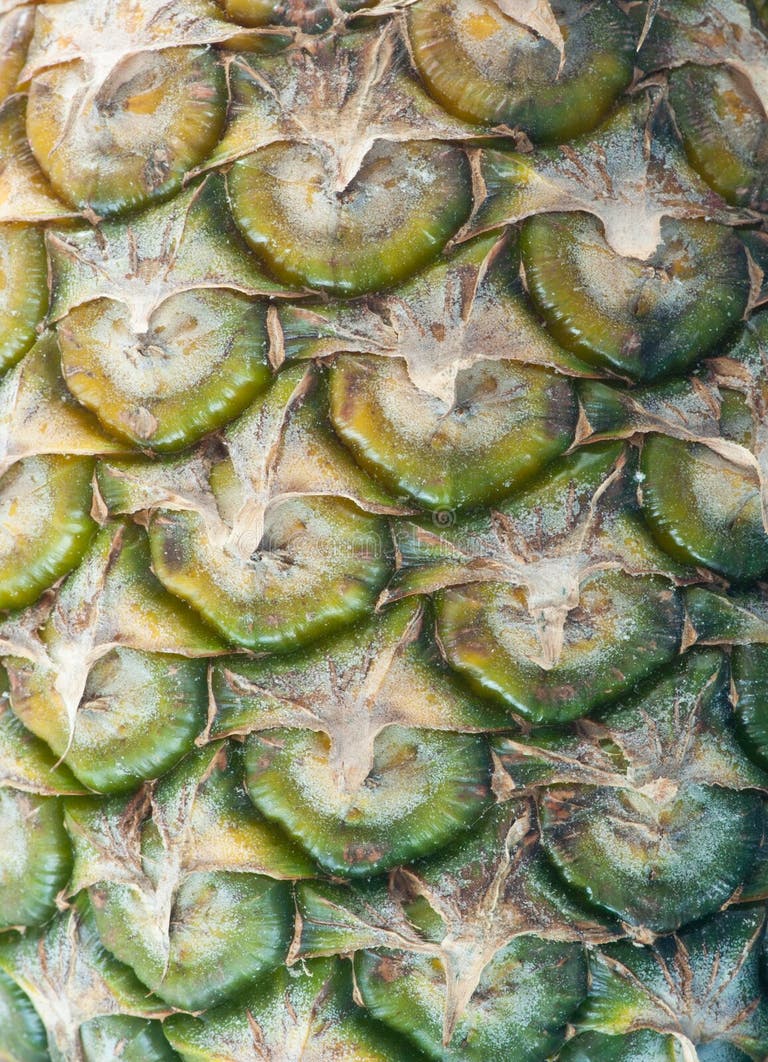 25,340 Pineapple Texture Stock Photos - Free & Royalty-Free Stock ...