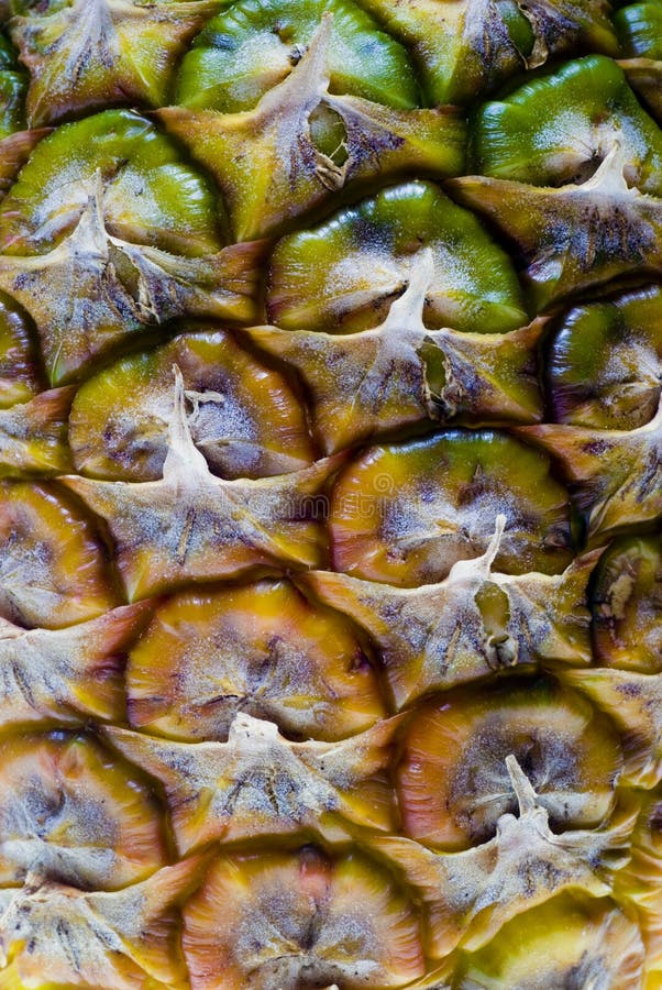 Pineapple Texture Picture. Image: 6502563