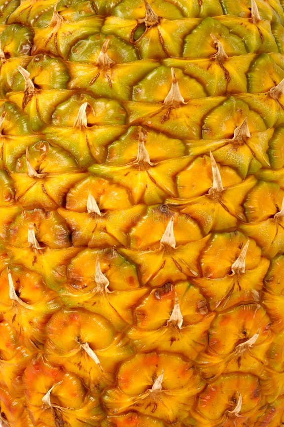 Pineapple texture stock image. Image of tropical, succulent - 959905