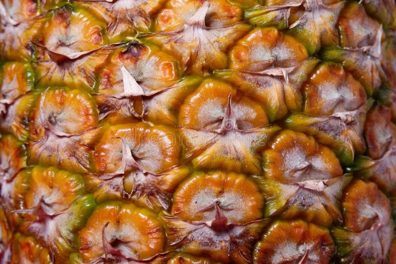 Pineapple texture stock photo. Image of pattern, fruit - 310962062