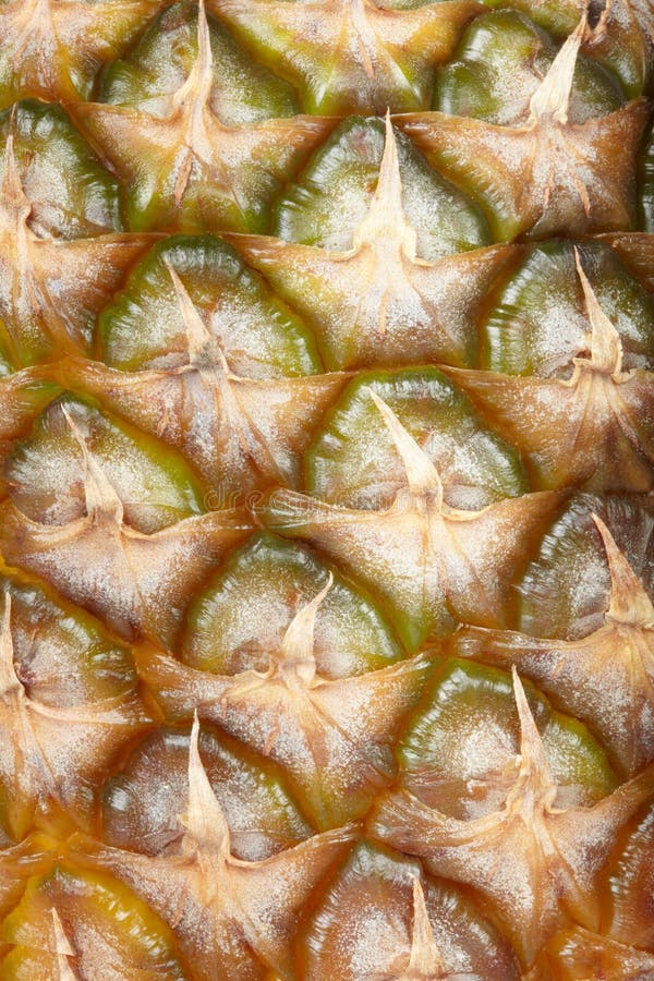 Pineapple texture stock image. Image of closeup, fruit - 12586519