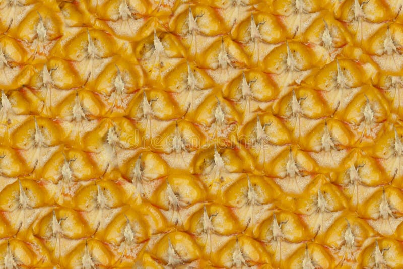 16+ Pineapple texture background wallpaper Free Stock Photos ...