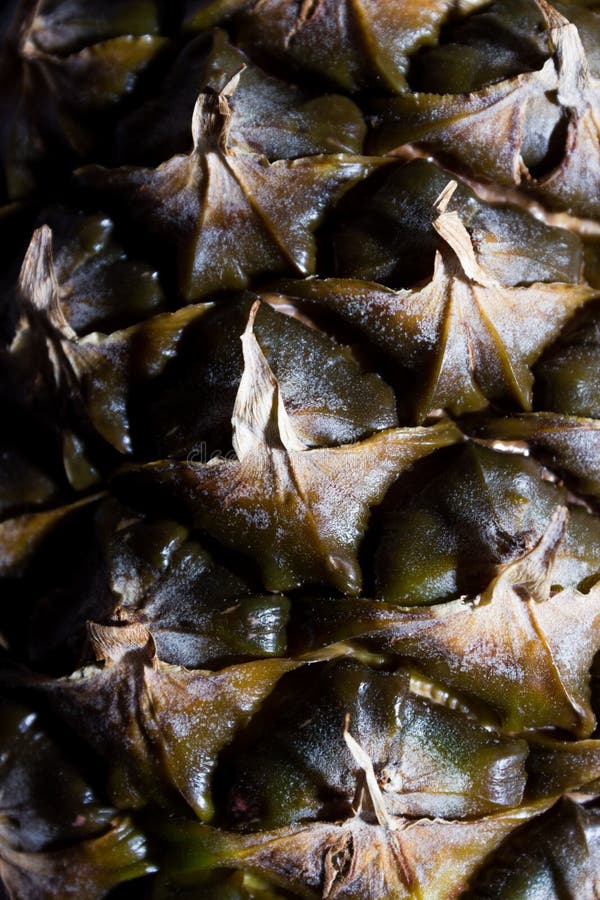 Pineapple Texture - Close Up Background Stock Photo - Image of tropical ...