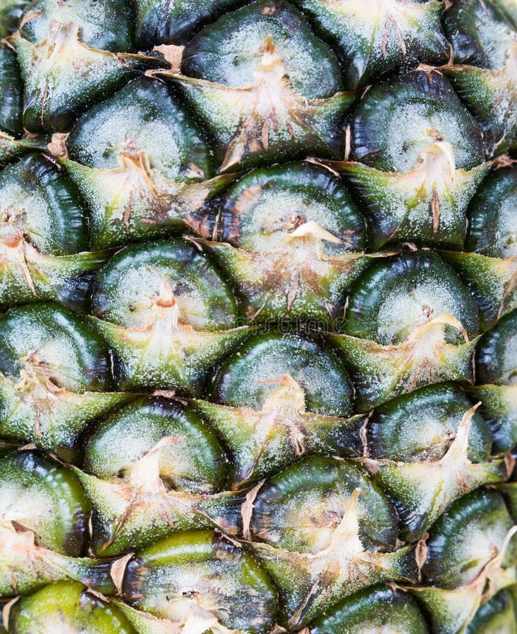 Pineapple texture stock image. Image of tropical, succulent - 959905