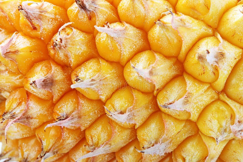 Pineapple texture stock photo. Image of yellow, pattern - 288999572