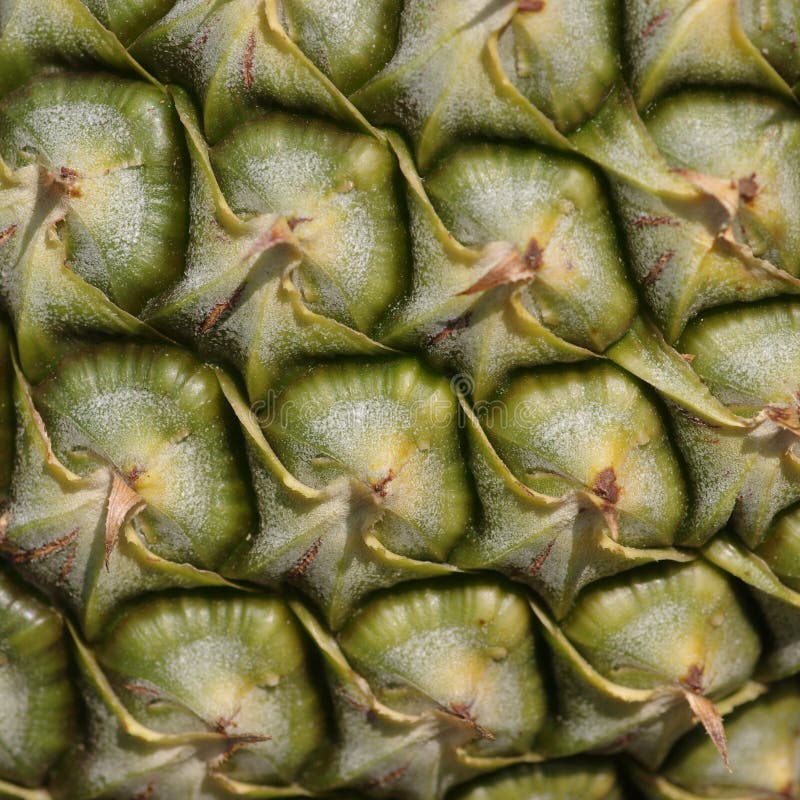 Pineapple Texture Background Wallpaper Stock Image - Image of ananas ...