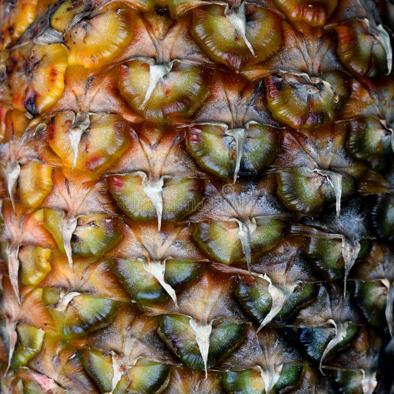 Closeup Of Green Pineapple Texture Stock Photo - Image of market, fruit ...