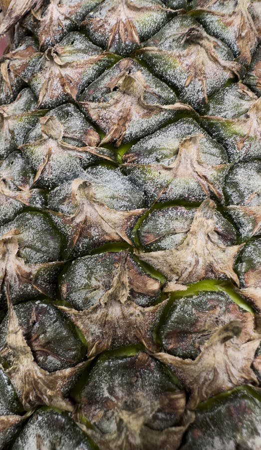 Pineapple Texture Wallpaper Look Image Hd Stock Image - Image of fruit ...