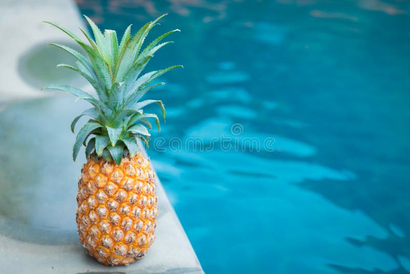 Pineapple Tropic Fruit Summer Refreshment Pool Stock Image - Image of ...