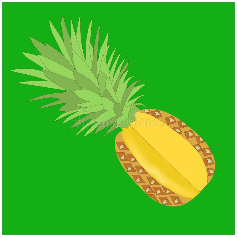Pineapple Vectors & Illustrations Artwork Stock Vector - Illustration ...
