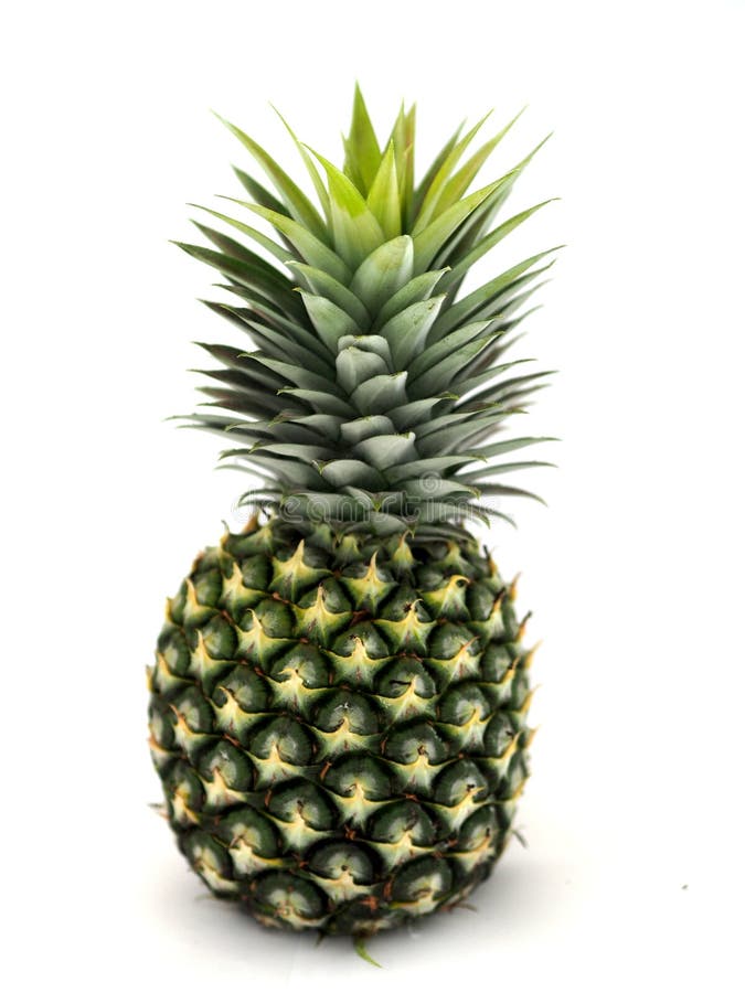 The Pineapple Tree is Bearing Fruit in on Nature Background Stock Image ...