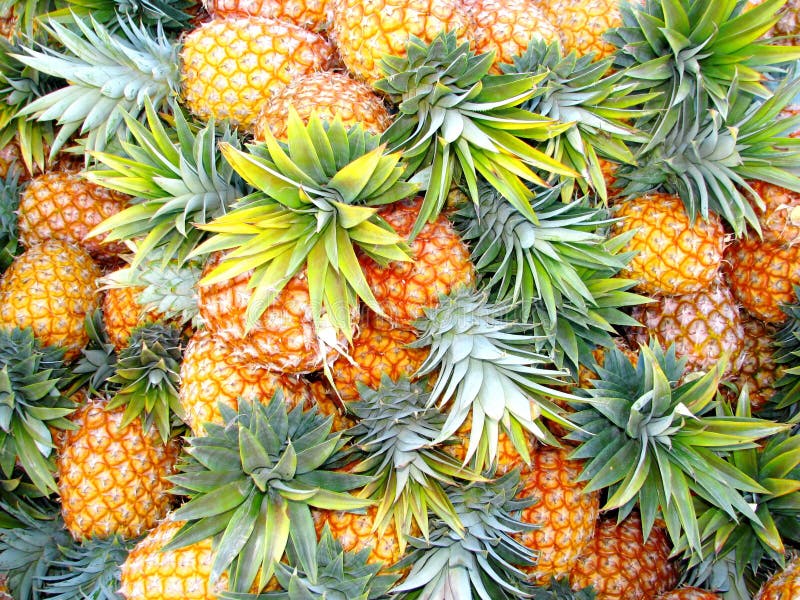 Pineapple texture stock photo. Image of outside, texture - 9579940