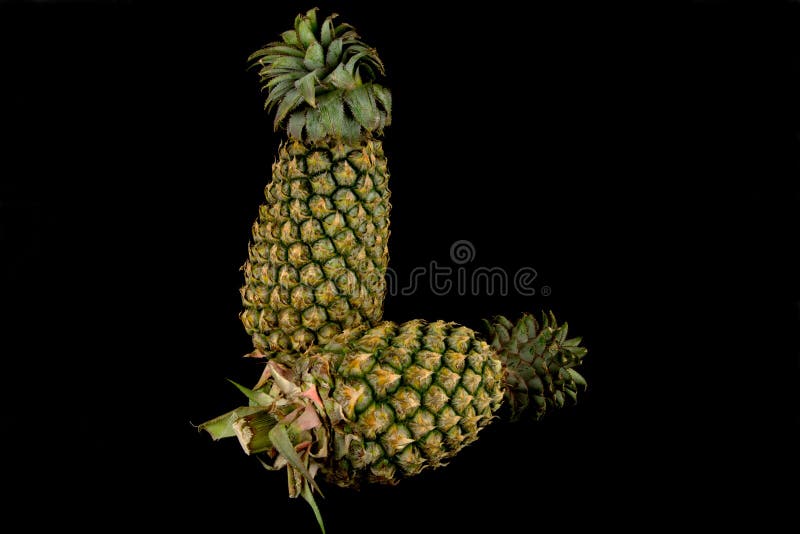 Pineapples on Black Background Stock Photo - Image of pineapple ...