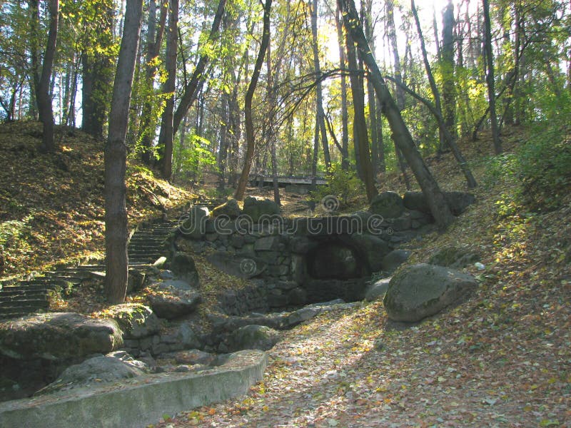 Pinery de parc de paysages image stock. Image du topographie - 79871055
