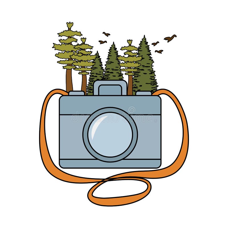 Pines Trees Forest Scene with Camera Stock Vector - Illustration of ...