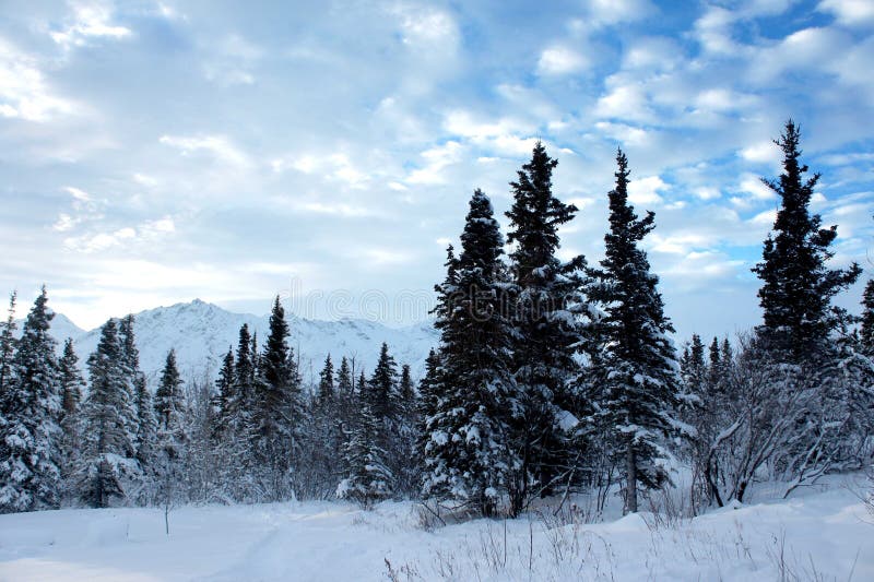 Alaska Winter Landscape stock photo. Image of forest - 50862720