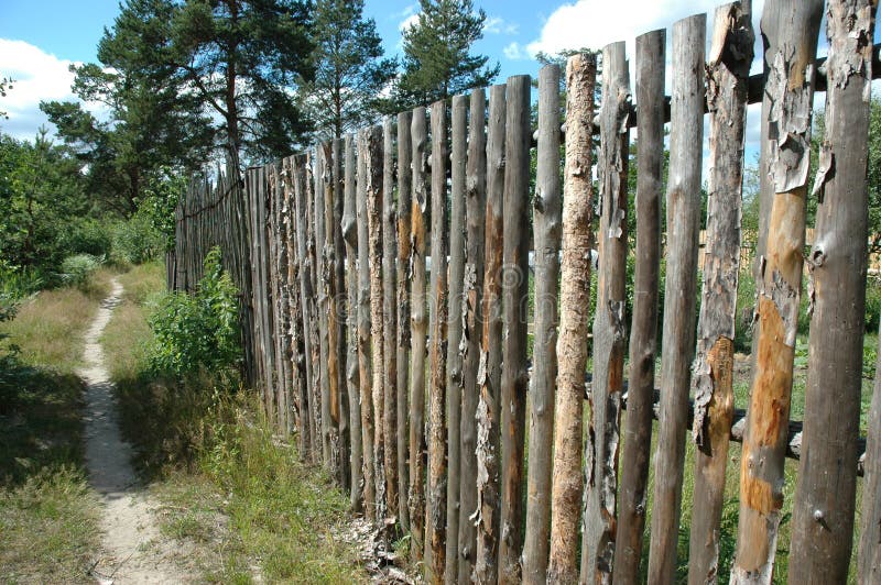 Pinewood fence stock image. Image of beautiful, pine, background - 932499