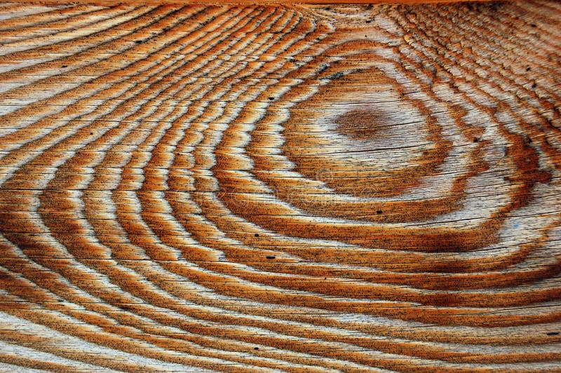 Twisted wood grain stock photo. Image of crack, macro - 4565930