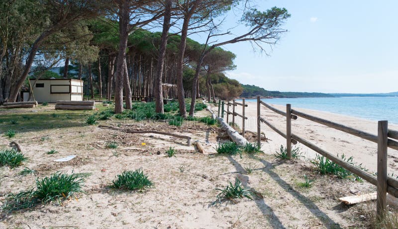 Mugoni beach stock photo. Image of caccia, nature, dynamic - 68796502