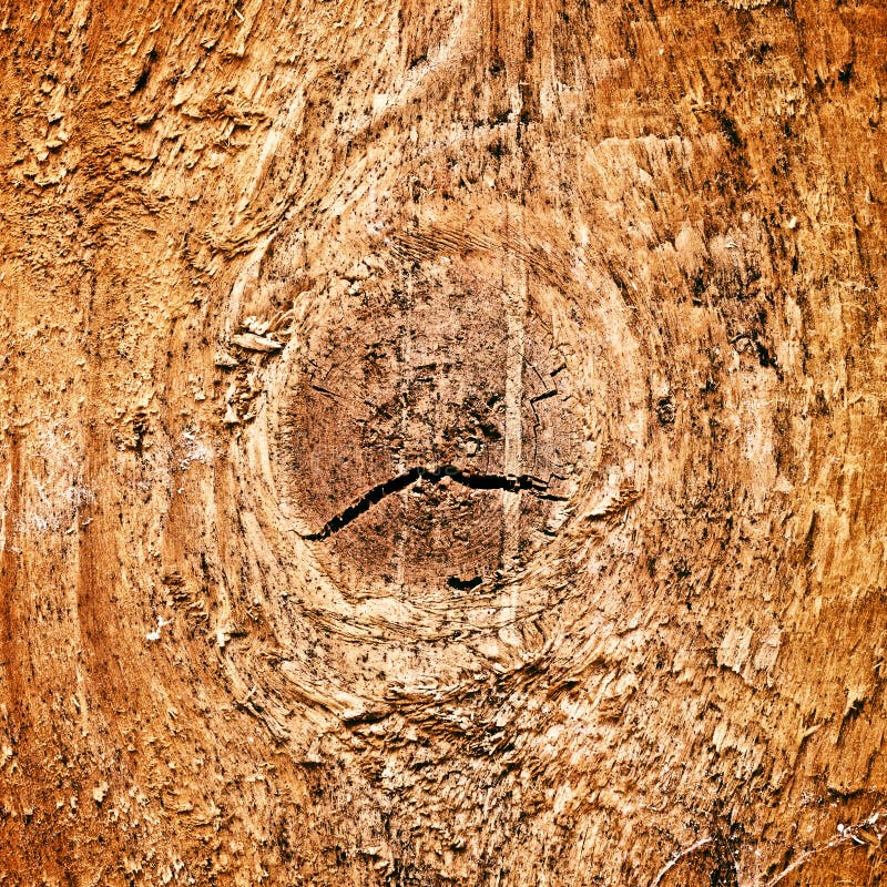 Pinewood Texture Closeup stock image. Image of natural - 75585569