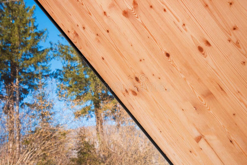 Pinewood Wall Covering and View of Pine Tree Woods through the Window ...