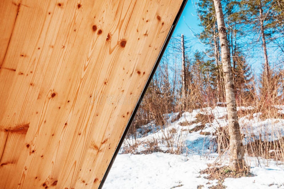 Pinewood Wall Covering and View of Pine Tree Woods through the Window ...