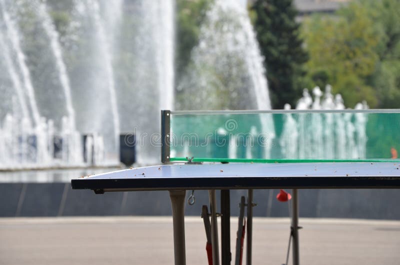 Ping Pong Net stock photo. Image of healthy, challenge - 43114378