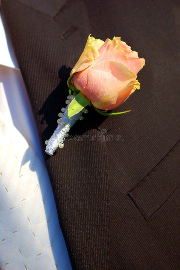 Ping Rose on a Groom S Coat Stock Photo - Image of detail, person: 17957408