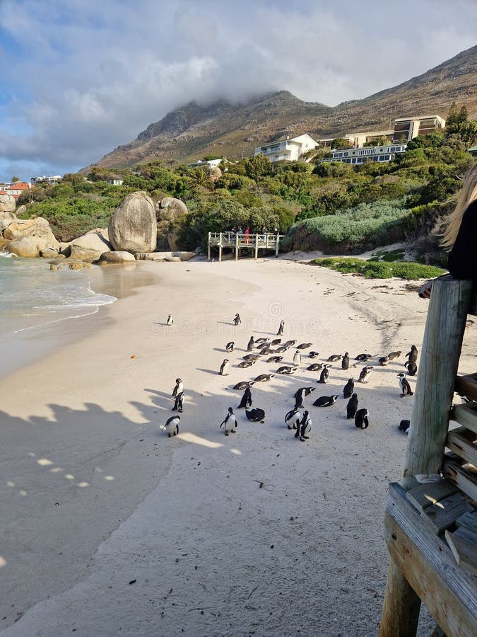 Pinguns Seafront Stock Photos - Free & Royalty-Free Stock Photos from ...