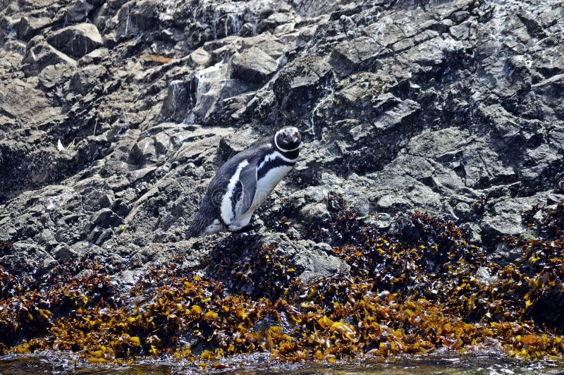 Man hiding between stones stock photo. Image of detail - 146315566