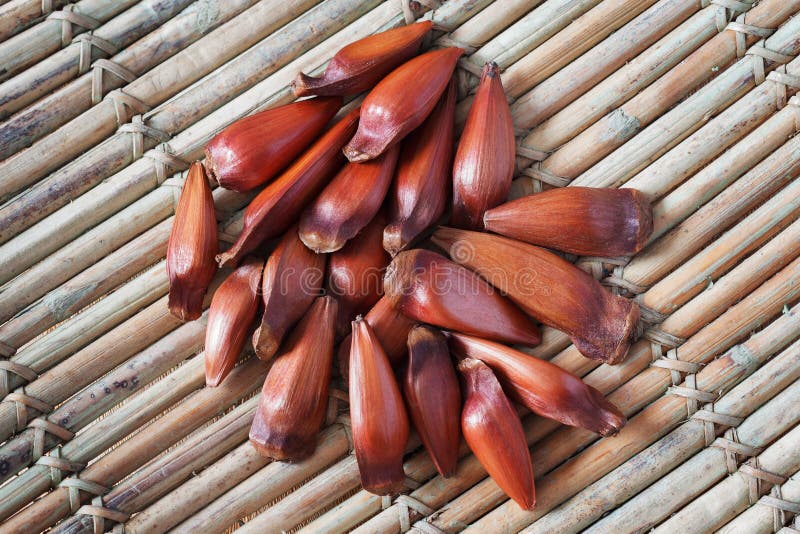 Pinhao - Brazilian Pine on Wooden Board Stock Image - Image of nuts ...