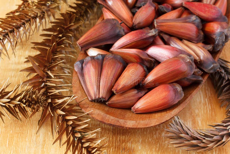 Pinhao Brazilian Pine Wooden Bowl Table Stock Photos - Free & Royalty ...